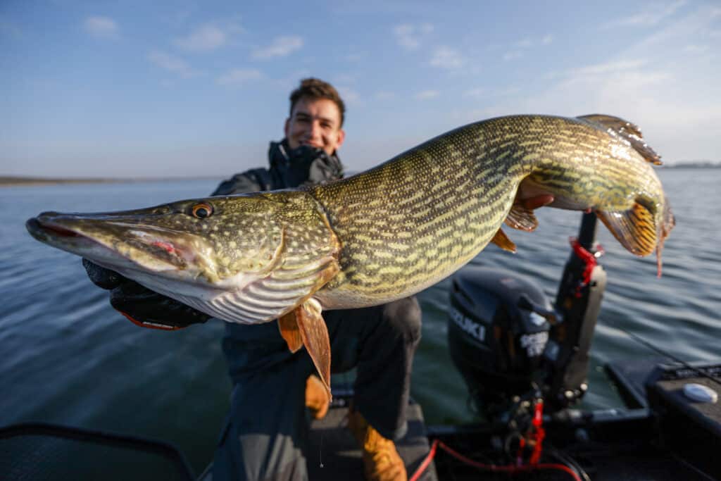 Better Bigbait Box – Better Fishing